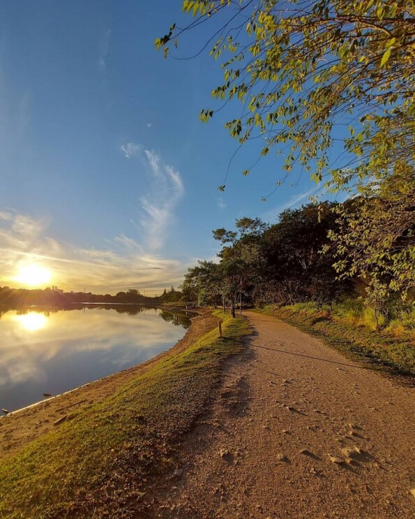 Vinhedo (SP): o que fazer e os 9 MELHORES passeios