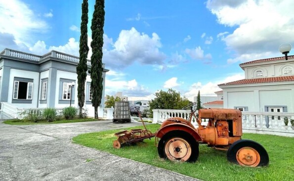 Vinhedo (SP): o que fazer e os 9 MELHORES passeios