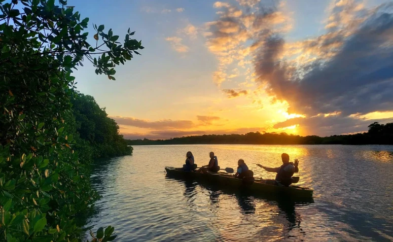 Ilha de Boipeba: como chegar, o que fazer, principais praias e dicas