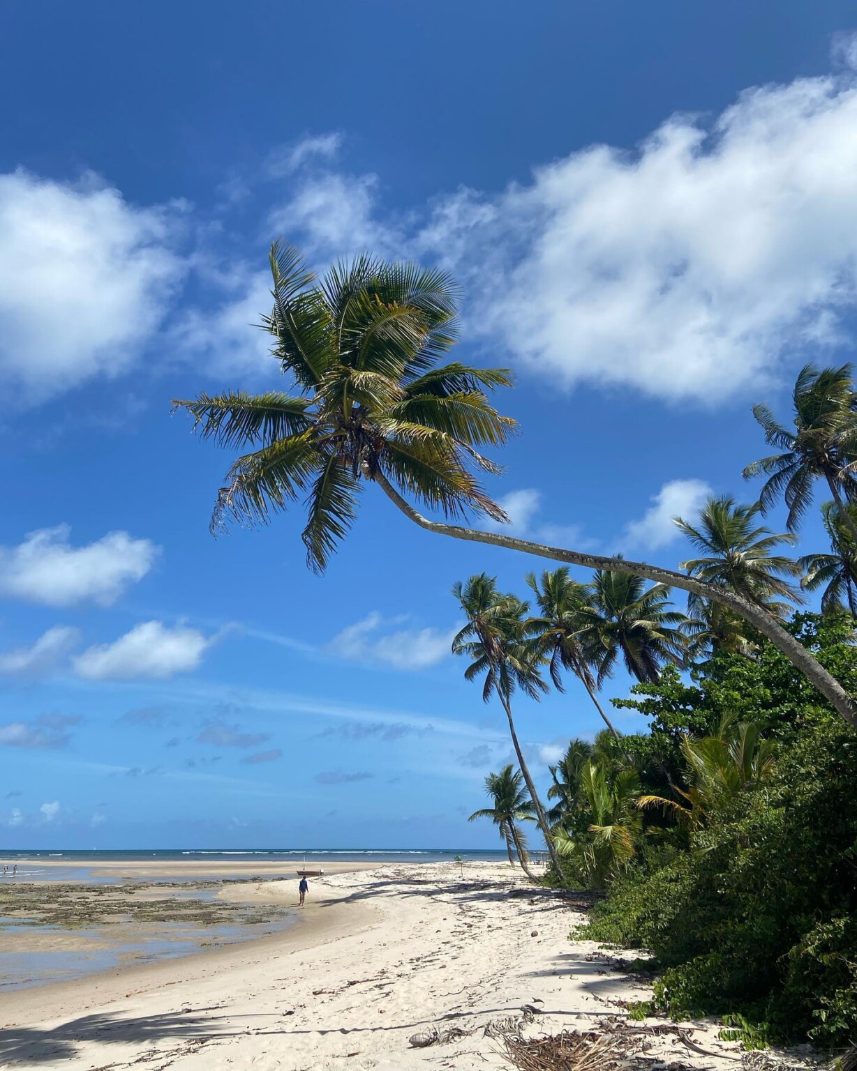 Ilha de Boipeba: como chegar, o que fazer, principais praias e dicas