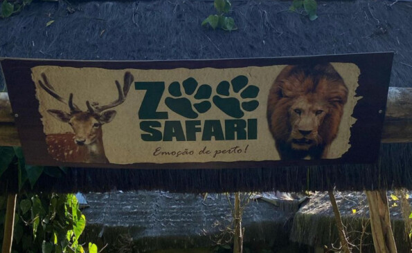 Zoológico de São Paulo: valor dos ingressos e 7 TOP atrações