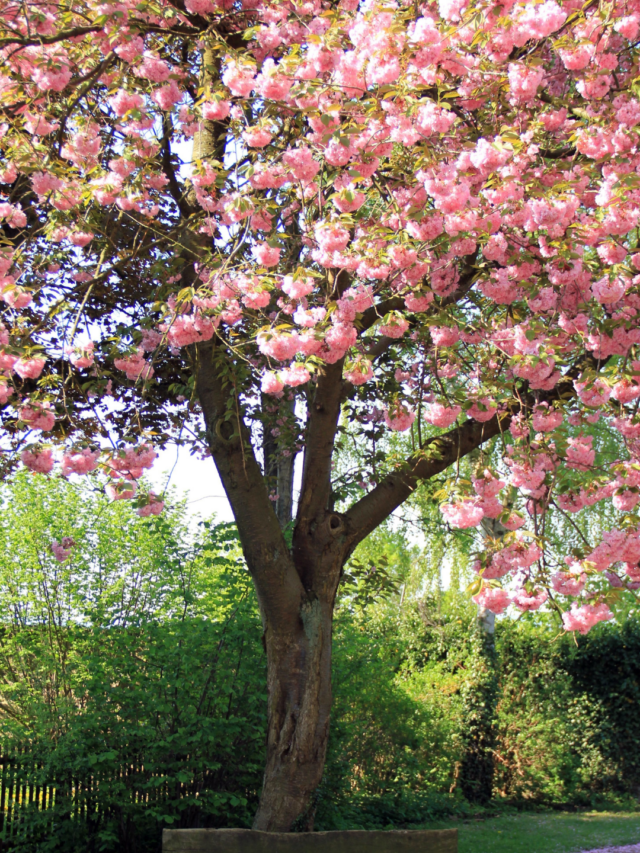 Viagem de primavera: 6 cidades perfeitas para a estação