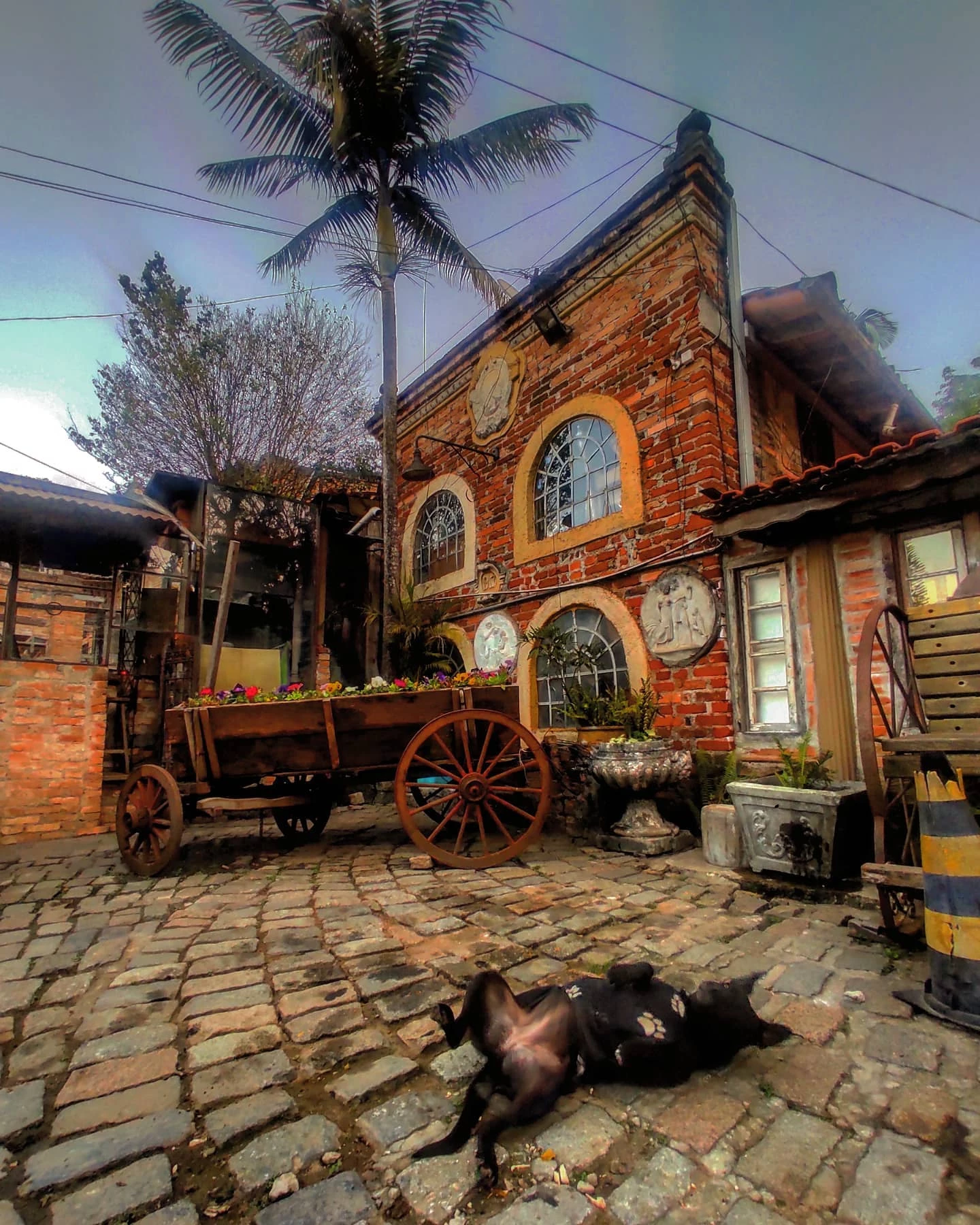 Mairiporã (SP): mapa e roteiro para curtir 1 dia na cidade