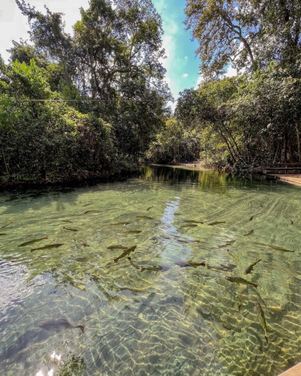 Nobres (MT): o que fazer, como chegar, hospedagens e dicas