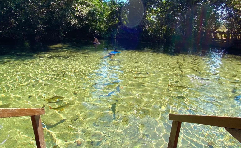 Nobres (MT): o que fazer, como chegar, hospedagens e dicas