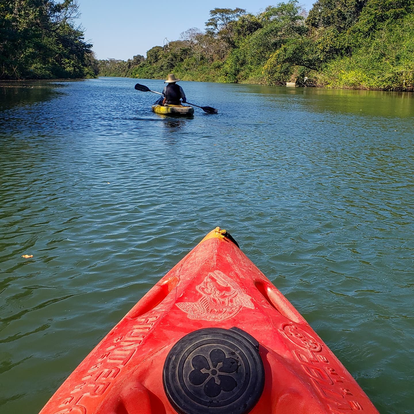 Nobres (MT): o que fazer, como chegar, hospedagens e dicas