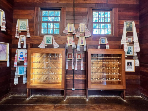 Parque Tingui: como chegar, dicas, informações e atividades