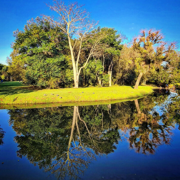 Parque Tingui: como chegar, dicas, informações e atividades