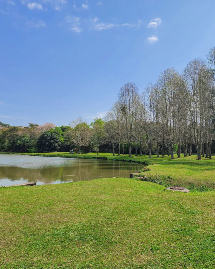 Parque Tingui: como chegar, dicas, informações e atividades