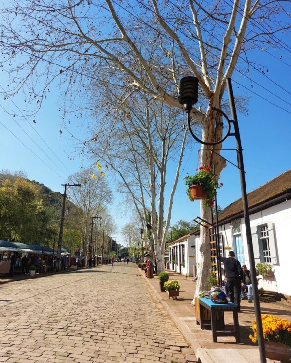 Ivoti: como chegar, principais atrativos, dicas e belos registros