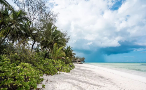 Zanzibar: o que fazer, praias, dicas, gastronomia e história