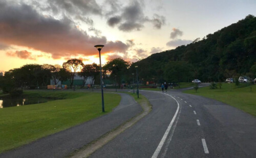 Parque Barigui: o que fazer, fotos e vídeos desse paraíso urbano