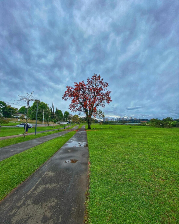 Parque Barigui: o que fazer, fotos e vídeos desse paraíso urbano