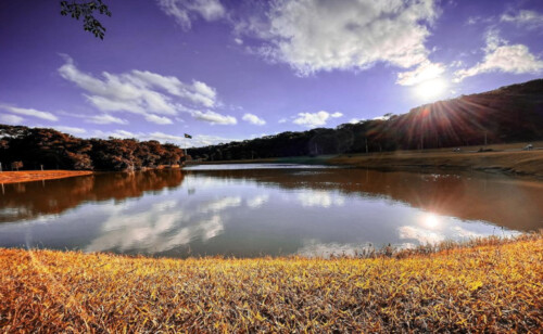 Parque Barigui: o que fazer, fotos e vídeos desse paraíso urbano