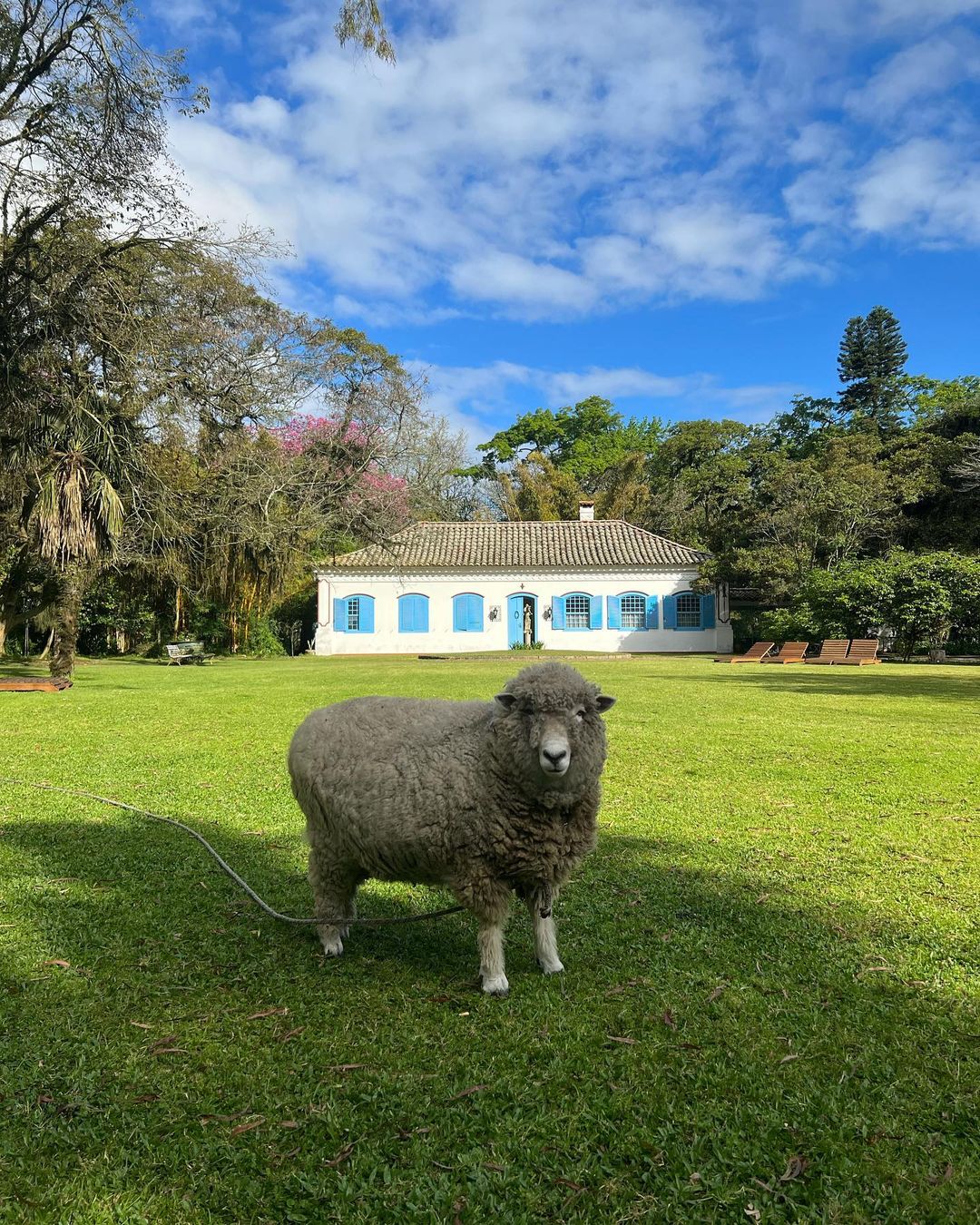 Rota das Charqueadas (RS): onde fica, o que fazer e hospedagens