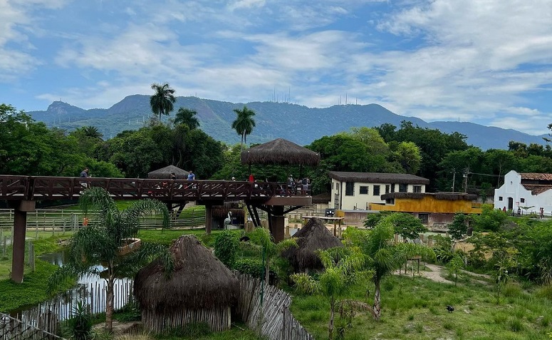 BioParque do Rio (RJ): passeios, informações, vídeos e dicas