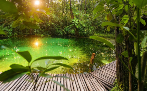 Brotas (SP): o que fazer, pousadas, parques e cachoeiras