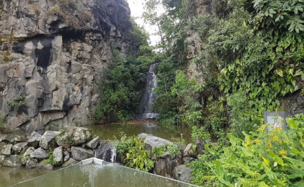 Ópera de Arame: onde fica, ingressos e o que fazer no teatro