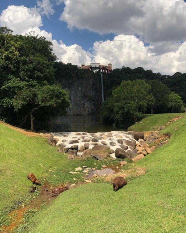 Parque Tanguá: como visitar o mais lindo parque de Curitiba