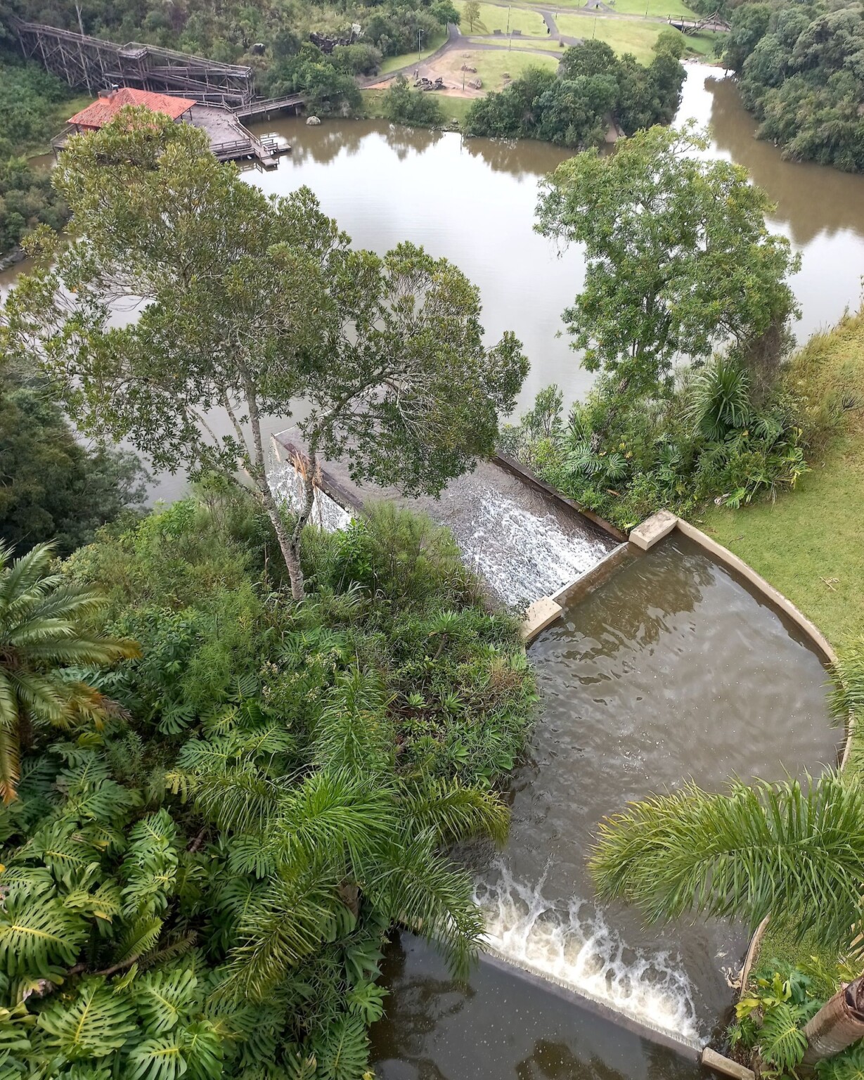 Parque Tanguá: como visitar o mais lindo parque de Curitiba