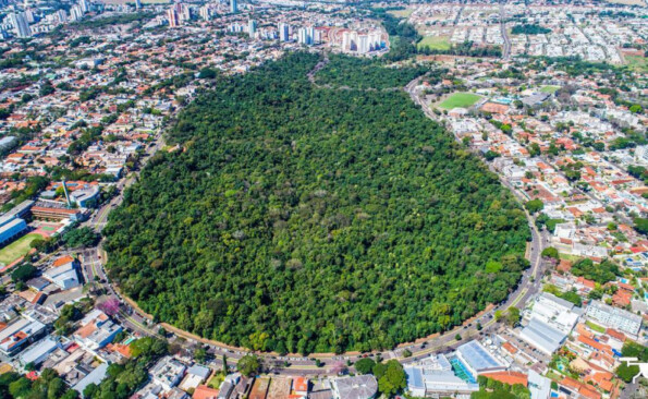 27 pontos turísticos de Maringá que você precisa conhecer