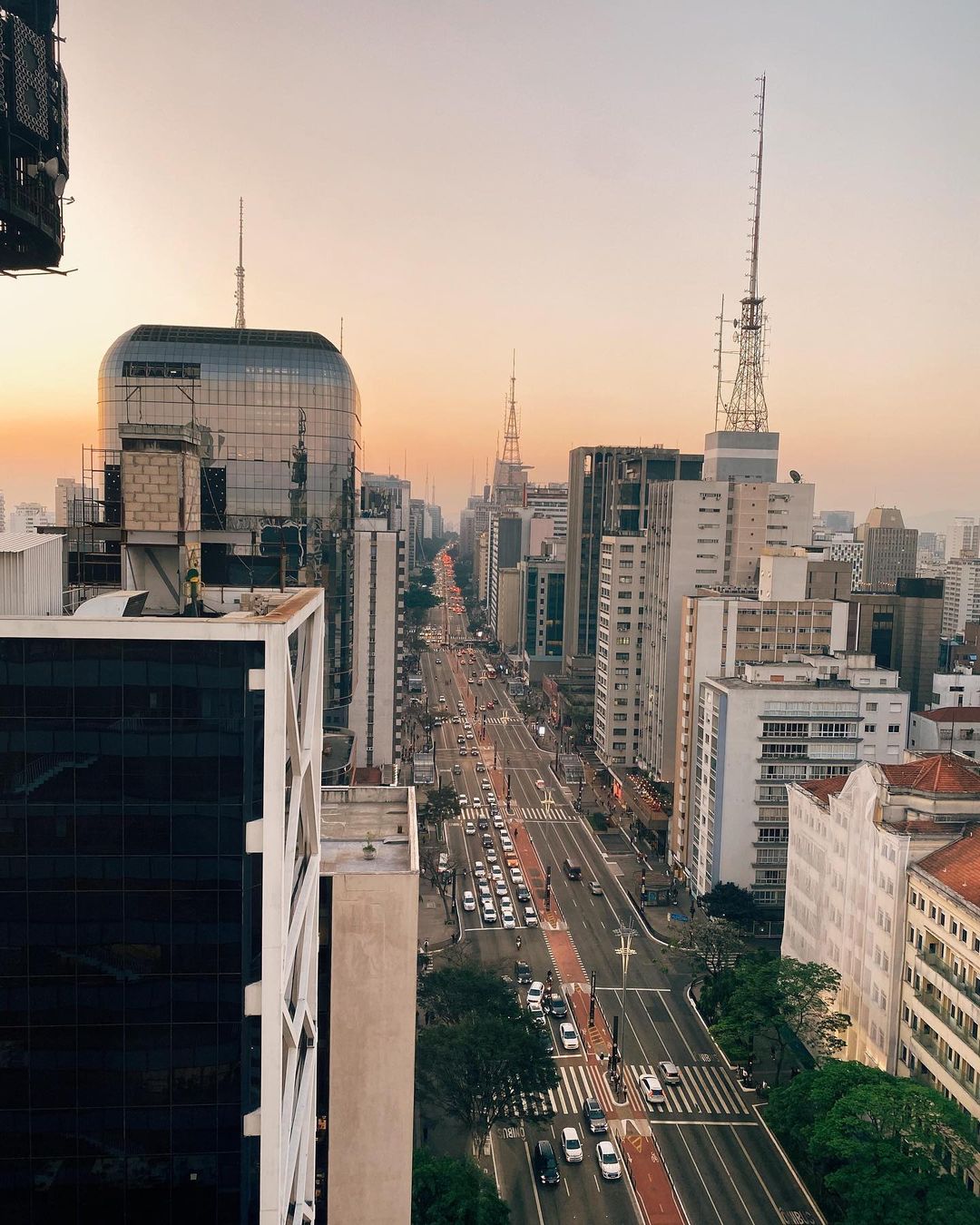 MASP: guia para visitar o Museu de Arte de São Paulo